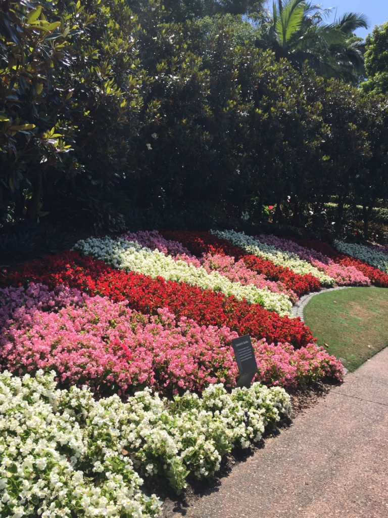 Top 5 Things to do with Kids in Brisbane - Flip Flops and Adventures